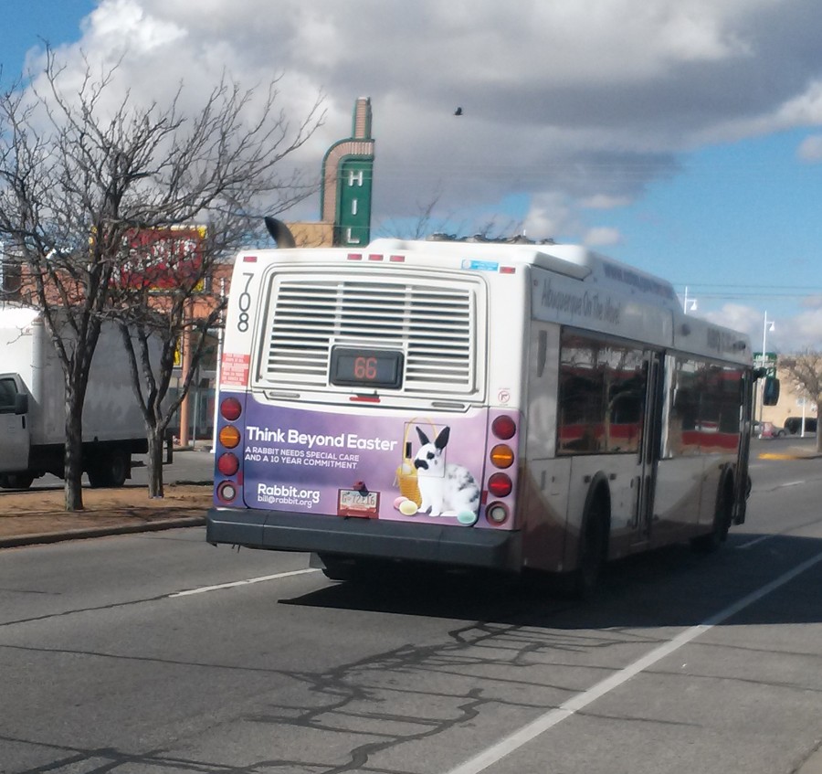 Our Bus Tails are live! – New Mexico House Rabbit Society